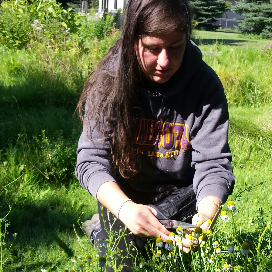 You can Educate Yourself in the Summer - Big Sky Herbs